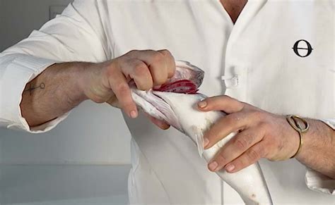 Cómo saber si el pescado es fresco 4 claves del Chef del Mar
