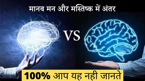 Difference Between Brain And Mind