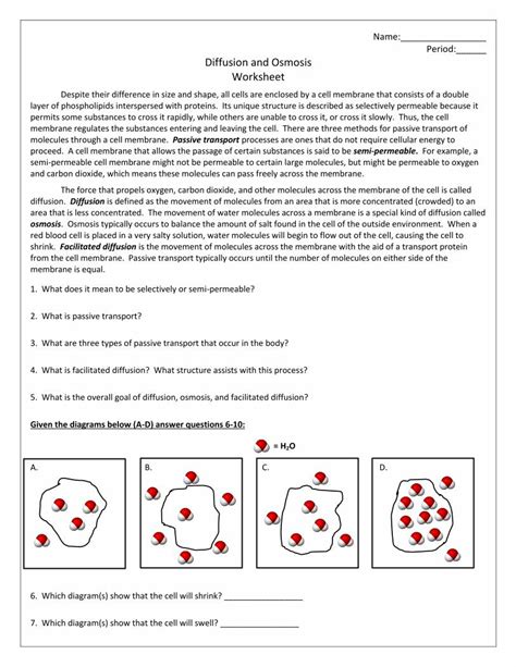 Pdf Period Diffusion And Osmosis Worksheetlaurasugden Weebly