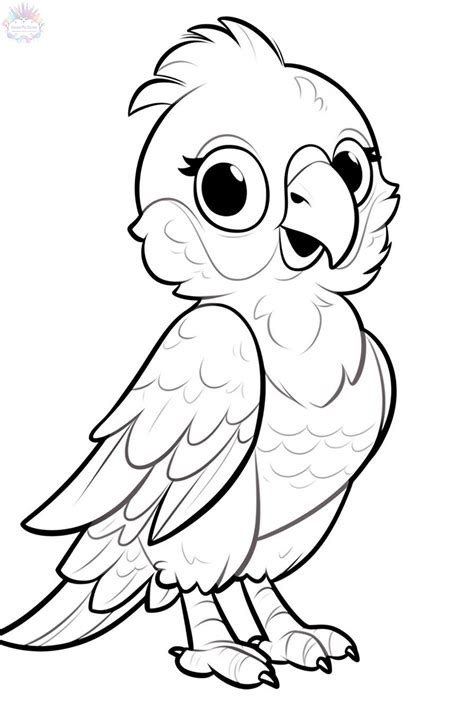 Papagaio Para Colorir Dezenas De Imagens Gr Tis Para Pintar