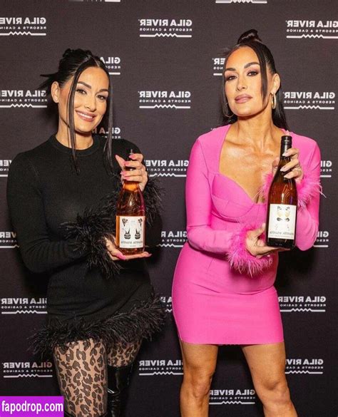 The Bella Twins Nikki Bella Brie Bella Thenikkibella Leaked Nude