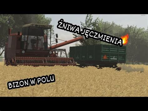 Bizon W Polu Niwa J Czmienia Youtube