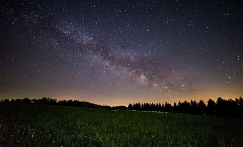Grass At Night