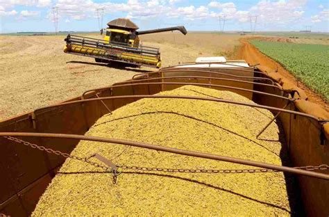 Produção de soja deve atingir recorde em abril