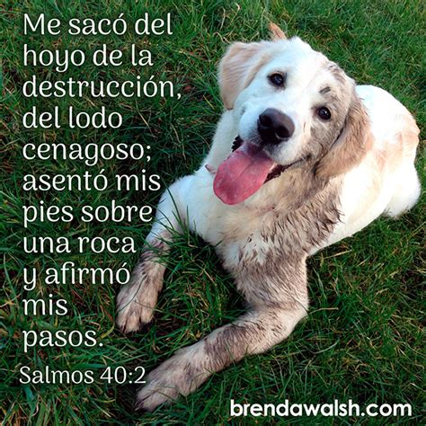 Salmos Brenda Walsh Scripture Images