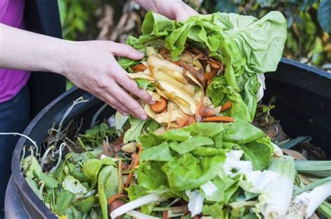 Estos tips te ayudarán a reducir el desperdicio de alimentos en tu