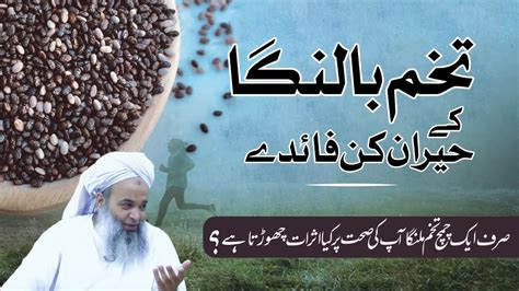 Tukh Malanga Benefits of basil Seeds تخم ملنگا for Your Health