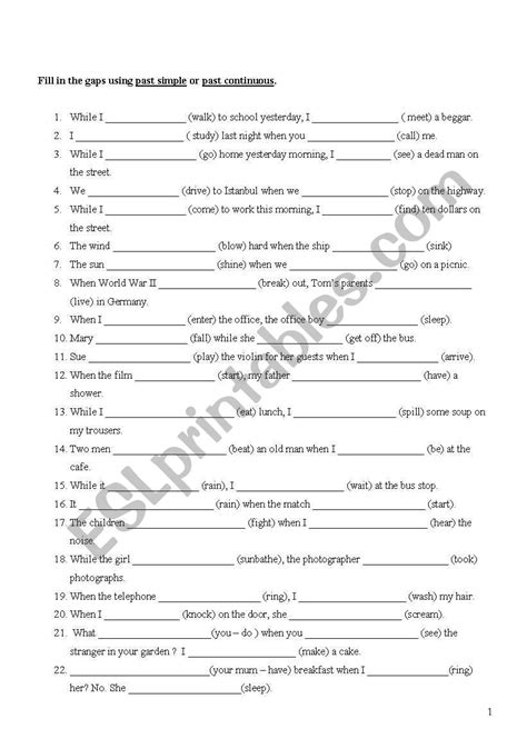 Past Simple Continuous Exercises