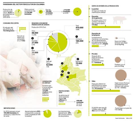 La producción de carne de cerdo en Colombia llegaría a 448 000