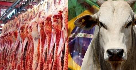 Exporta O De Carne Bovina Salta Em Janeiro Retomada Da China