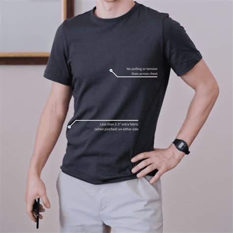 How A Man S T Shirt Should Fit Visual Guide The Modest Man