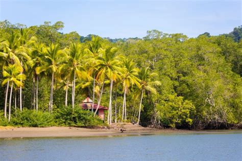 25 Interesting Facts About Costa Rica The Facts Institute