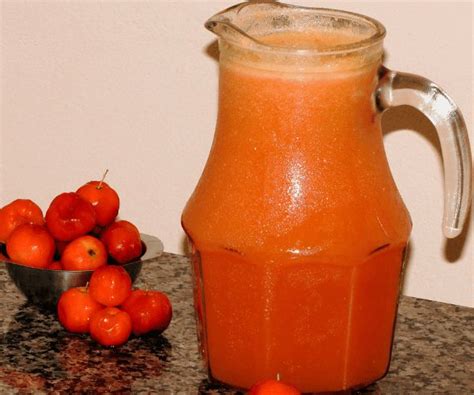 Suco de acerola benefícios e como fazer Receita em 2024 Acerola