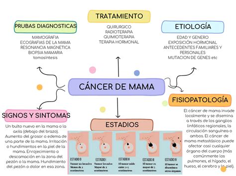 Cáncer de mama resumen en mapa conceptual Šeme i konceptualne mape de