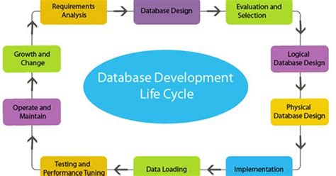 database development life cycle in dbms javonewtdowns