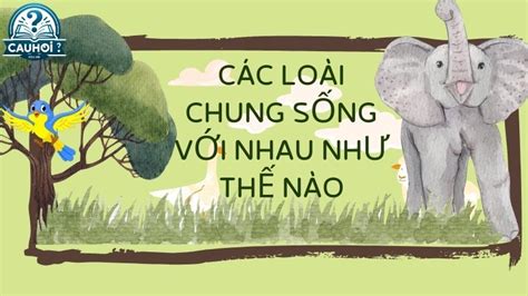 Cộng sinh và đối kháng Làm thế nào các loài động vật chung sống với nhau