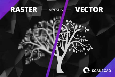 Explained Raster Versus Vector Scan2CAD