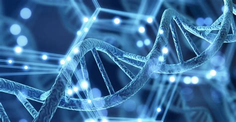 Genética qué es para qué sirve riesgos y características