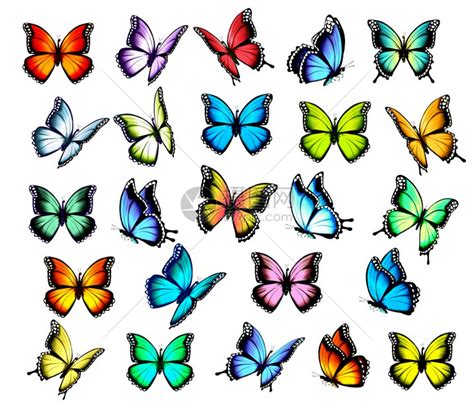 多彩的蝴蝶插画图片下载 正版图片306200178 摄图网