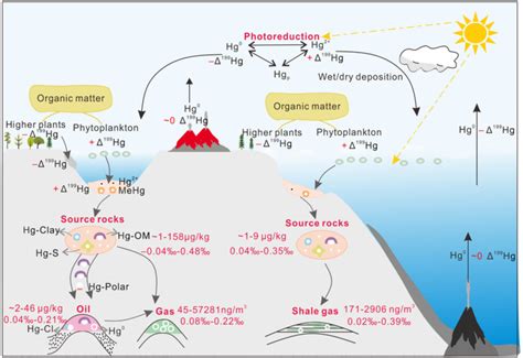 Schematic Diagram Of Hg Mobilization And Isotope Fractionation From Om