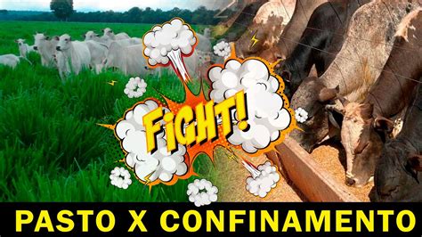 Pecu Ria Intensiva Pasto X Confinamento Ou Pasto E Confinamento