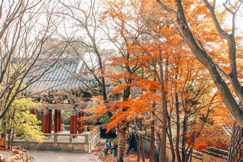 Gyeongju Autumn Gina Bear S Blog