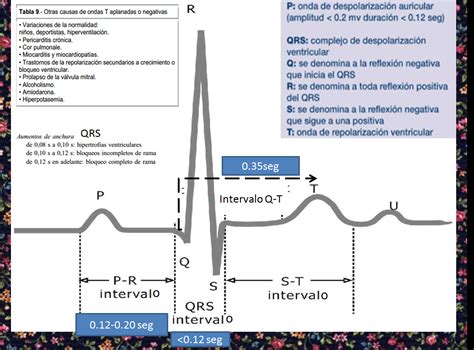 PORTAFOLIO DIGITAL DE EVIDENCIAS PARA EL APRENDIZAJE DE FISIOLOGÍA