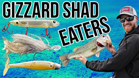 Dont Go Fishing Without One Of These Baits Bass Manager The Best