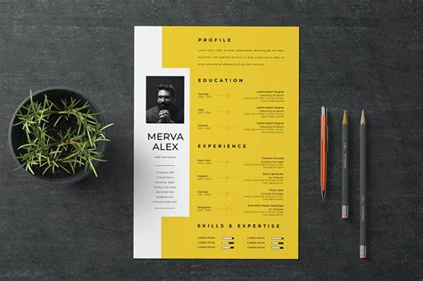 22 Plantillas para Currículum Originales e Interesantes creativas