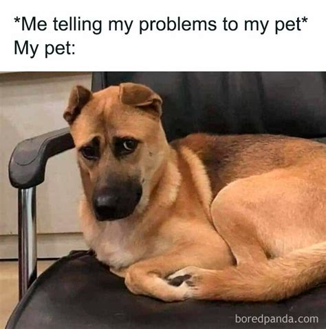 Funny Meme Jokes