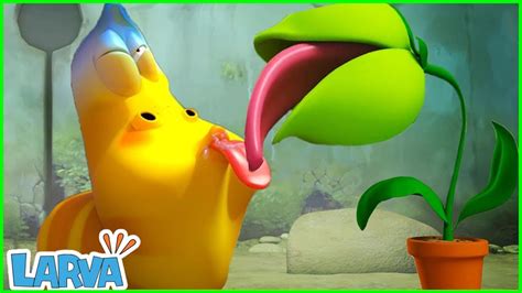 Carnivorous Plants Hilarious Animated Cartoon Compilation YouTube