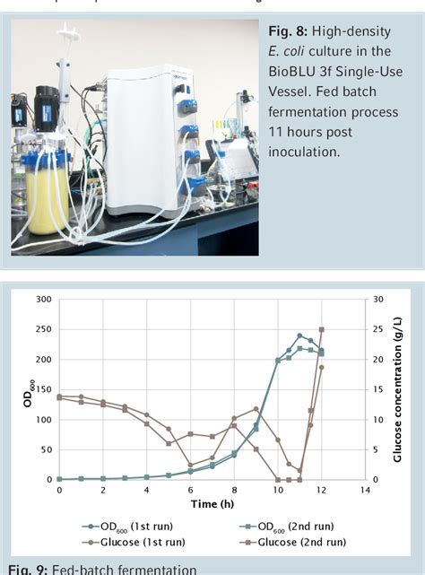 figure 12 from a beginner s guide to bioprocess modes batch fed batch and continuous
