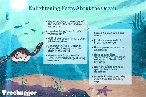 Enlightening Facts About The Ocean