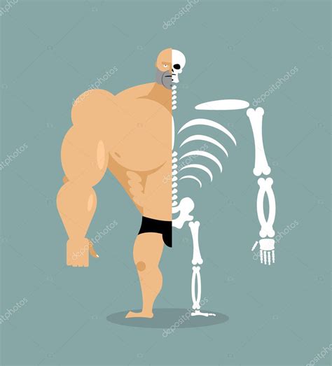 Human Structure Skeleton Men Construction Of Athlete Bones An Stock