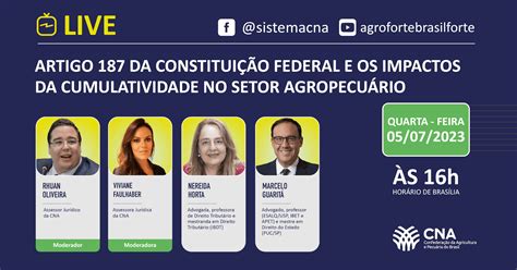 Live Artigo Da Constitui O Federal E Os Impactos Da