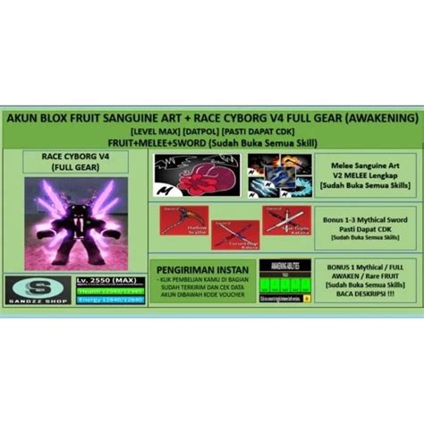 Jual Akun Blox Fruit Sanguine Art Race Cyborg V Full Gear Awakening