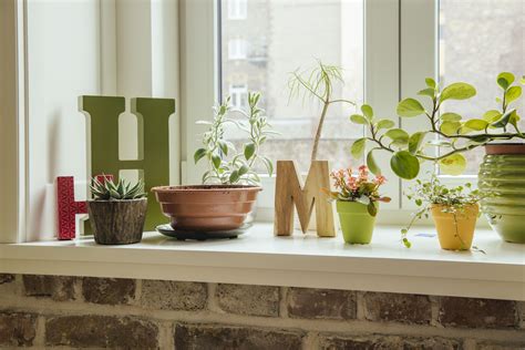 Top 114 Kitchen Window Sill Decor Ideas Latest Seven Edu Vn