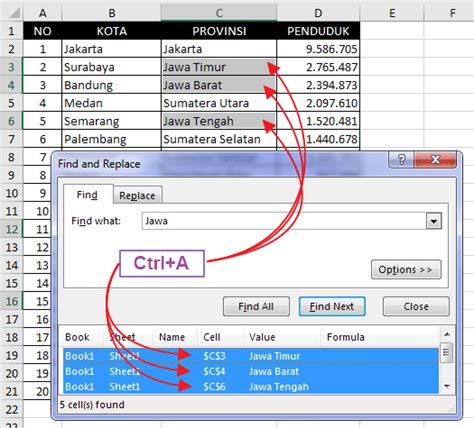 Cara Menggunakan Fitur Find And Replace Excel Bagian