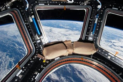 Qué se ve desde Estación Espacial internacional y cómo es por dentro