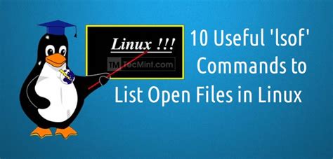 10 lsof command examples in linux how vps how to use setup vps