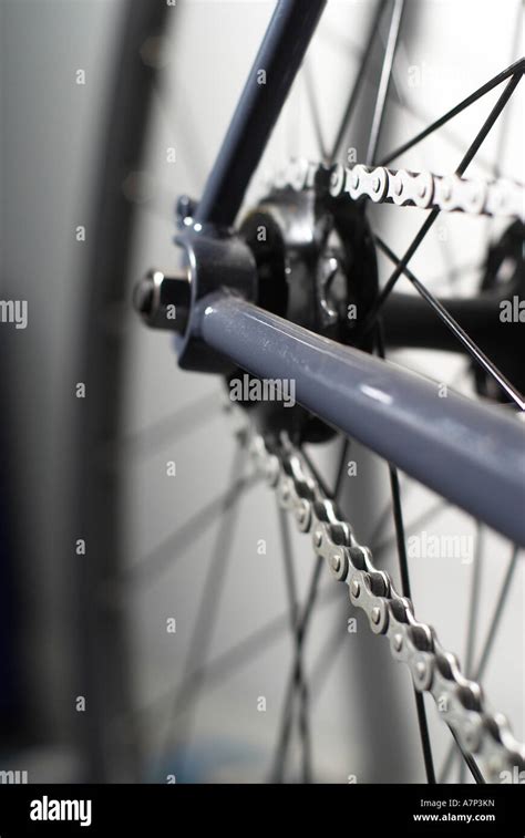 Single Speed Vs Fixed Gear Bike DIFFERENCES EXPLAINED Atelier Yuwa