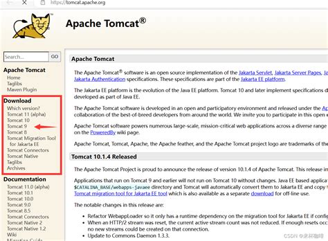 linux安装tomcat 保姆级教程 linux 非yum 安装tomcat csdn博客