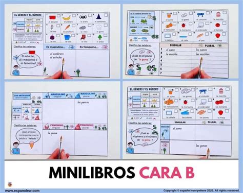Concordancia género y número en clase de español para niños