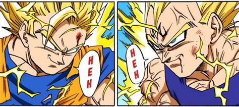 Can You Do An Analysis On The Goku Vs Majin Vegeta Fight To Determine