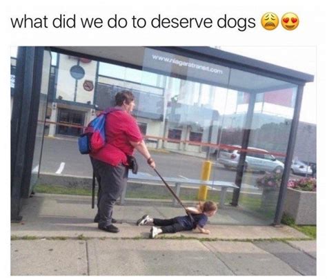 Parenting Fails Muchosucko Telegraph