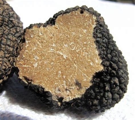 A qué saben las trufas Descubre cuál es su exclusivo sabor