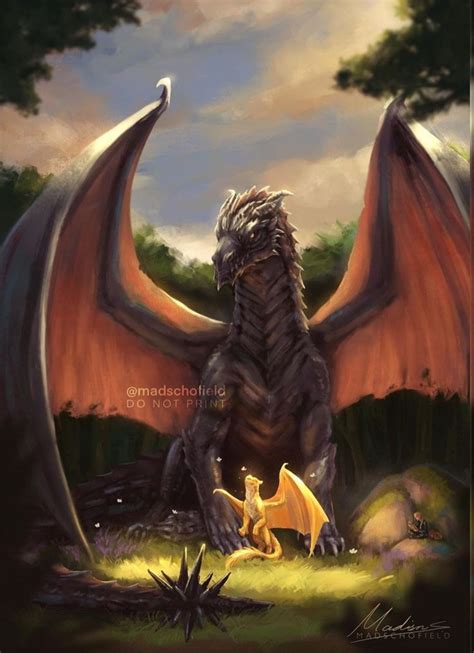 Tairn Andarna And Violet Wings Art Wings Wallpaper Dragon Wings