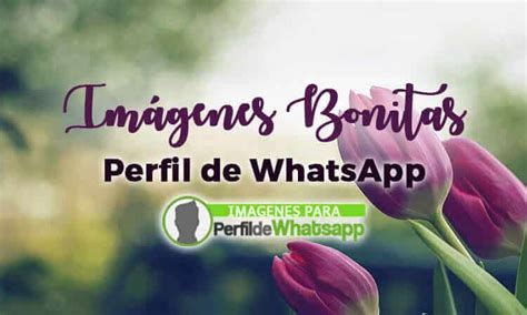 Fotos Bonitas Para Poner En El Perfil Descargar Manual