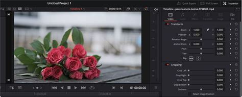 How To Crop A Video In Davinci Resolve Lasopakosher