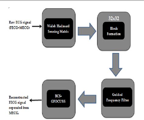 figure 1 from modified block compressed sensing for extraction of fetal electrocardiogram from